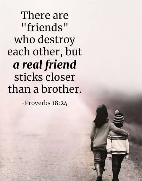 10 Uplifting Verses in proverbs about friendship - Christ Win